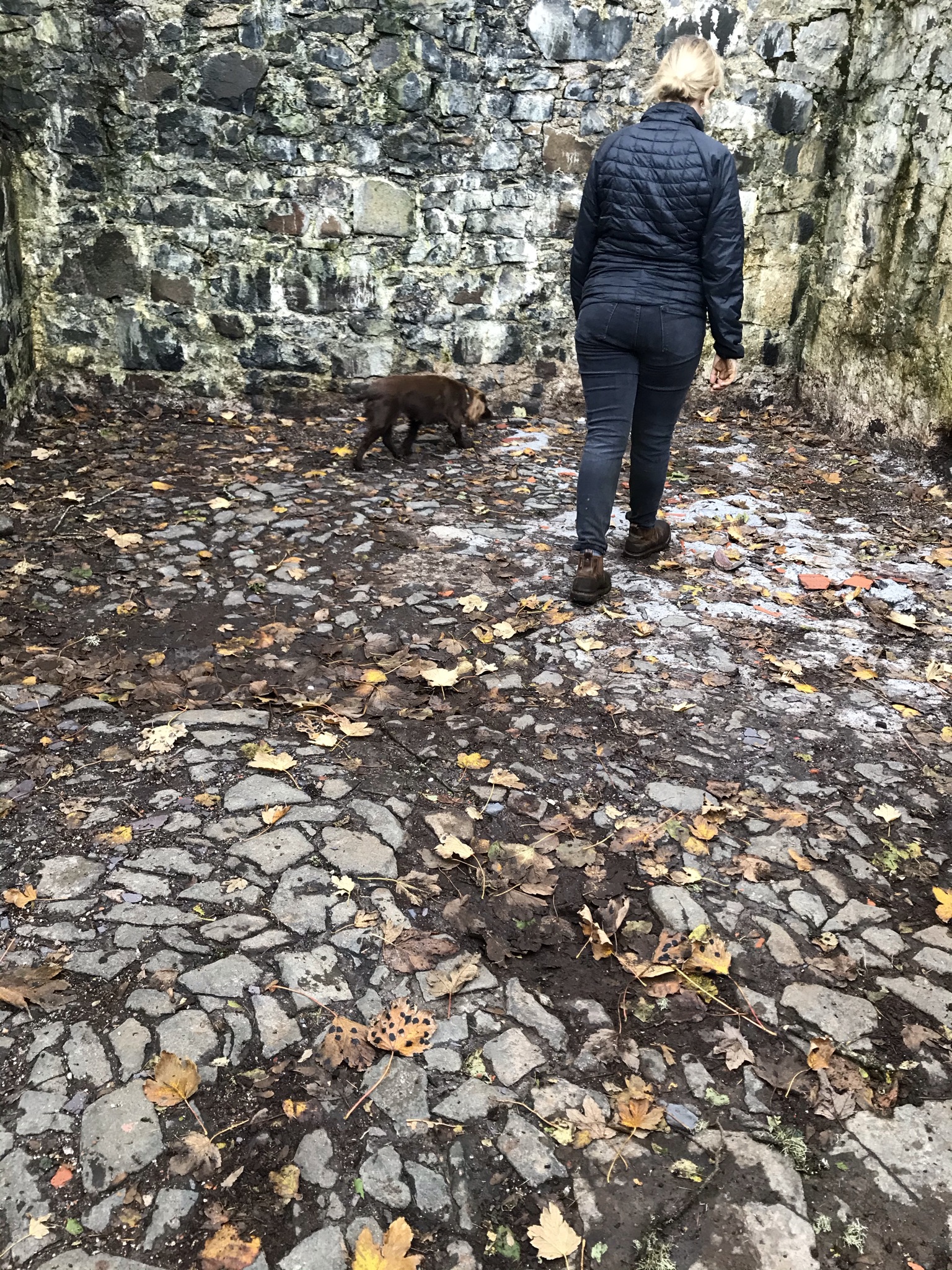 The Glengorm Goodlife – Glengorm Castle