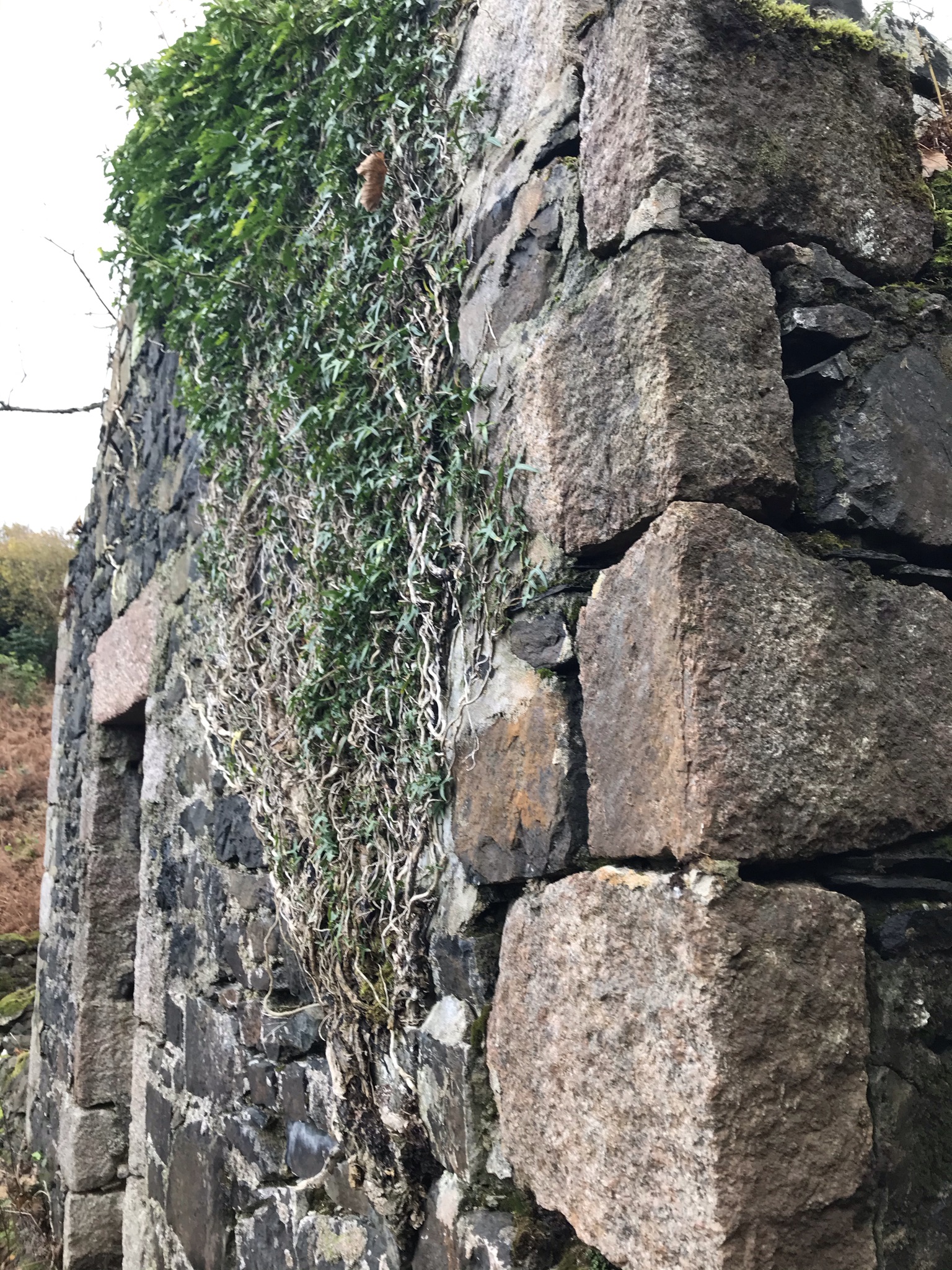 The Glengorm Goodlife – Glengorm Castle