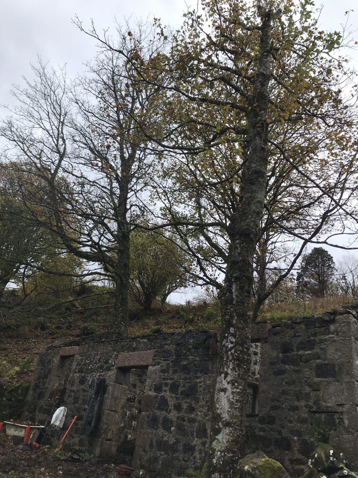 The Glengorm Goodlife – Glengorm Castle